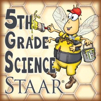 5th Grade Science STAAR® - Bright Thinker